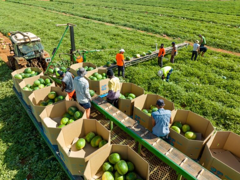 Farm Business Management - AgTech Finder